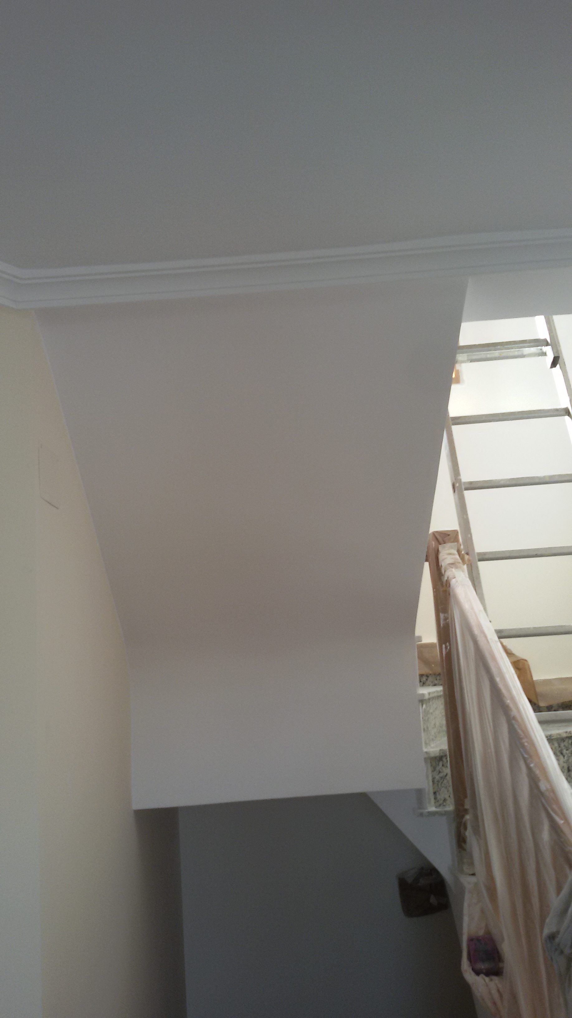 Techos en Plastico liso afinado con sideral S-500 blanco (1) | Pintores ...