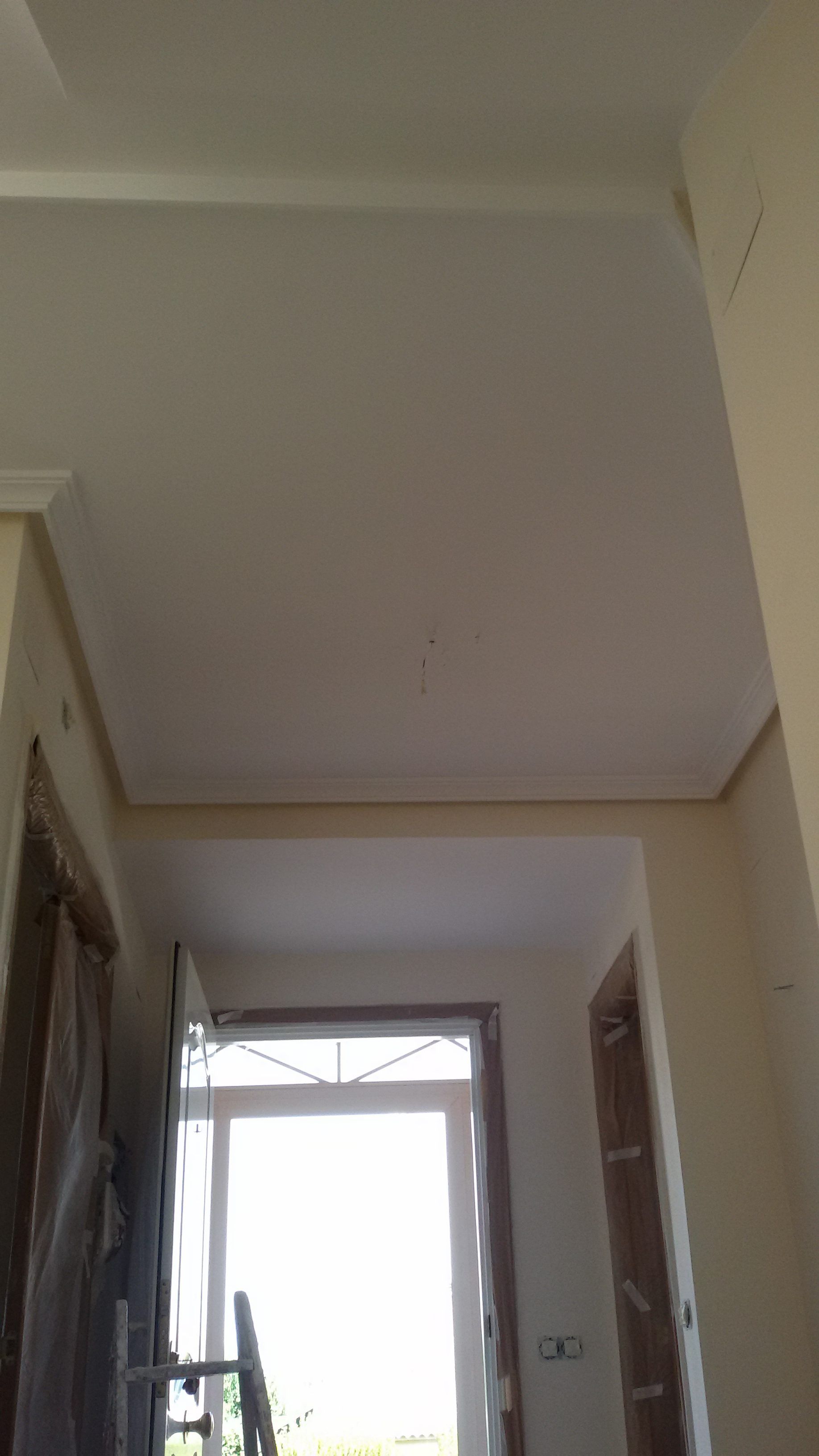 Techos en Plastico liso afinado con sideral S-500 blanco (10 ...