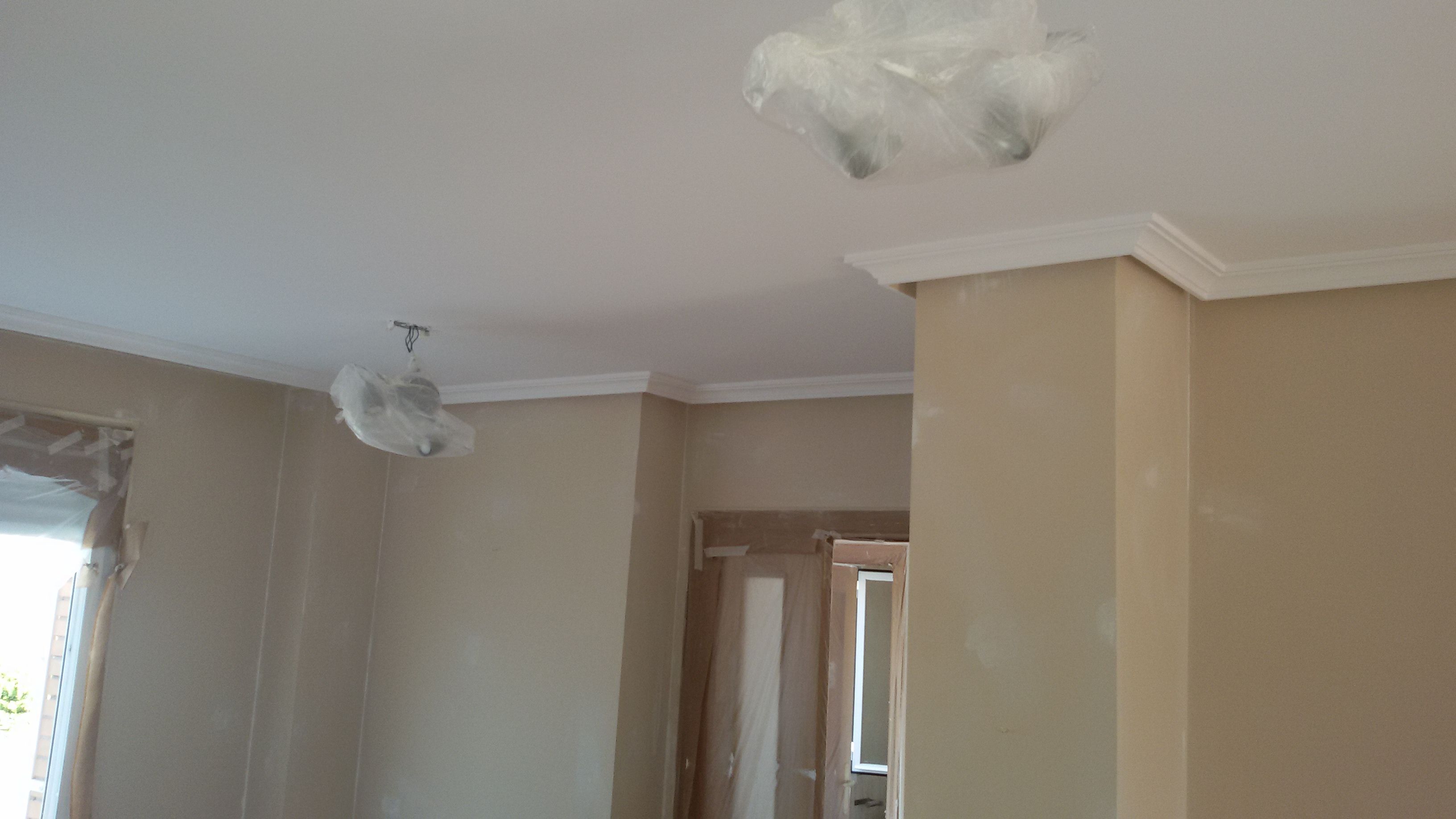 Techos en Plastico liso afinado con sideral S-500 blanco (19 ...