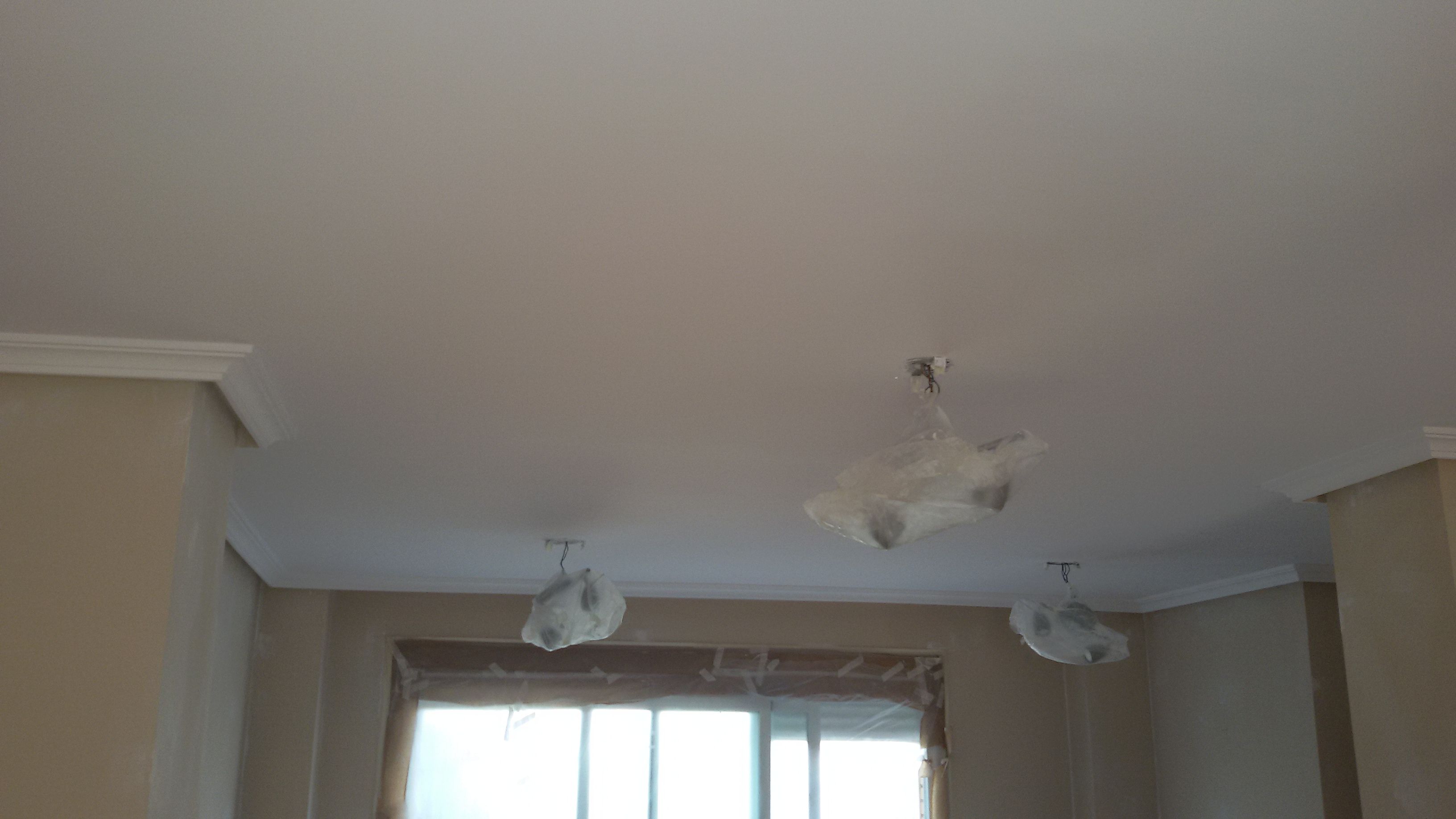 Techos en Plastico liso afinado con sideral S-500 blanco (20 ...